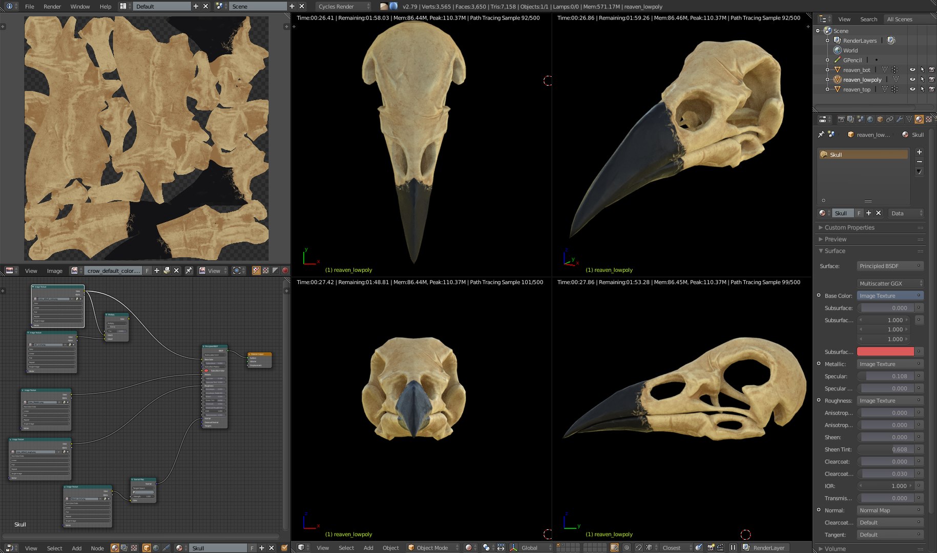 3D Model Raven Skull - TurboSquid 1412854