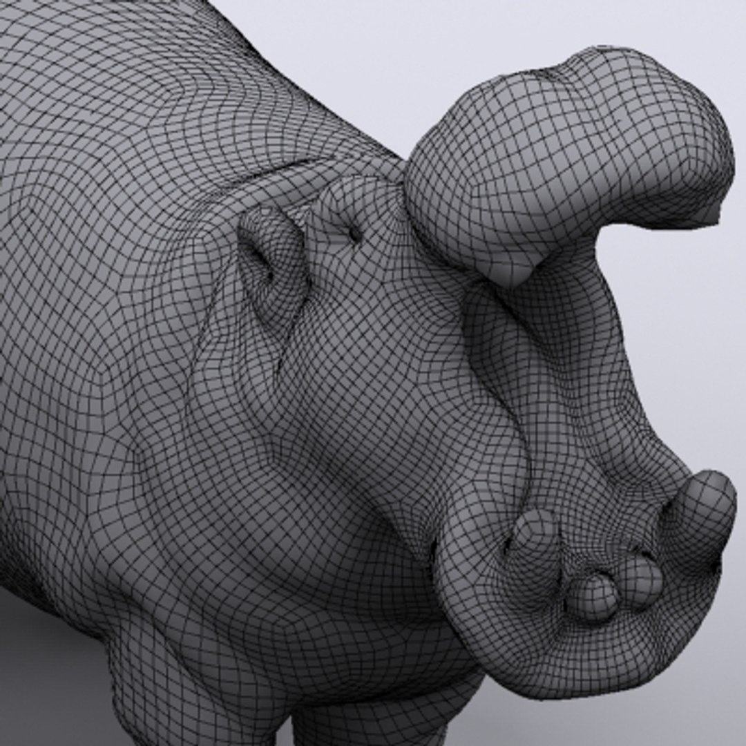 hippo 3d model