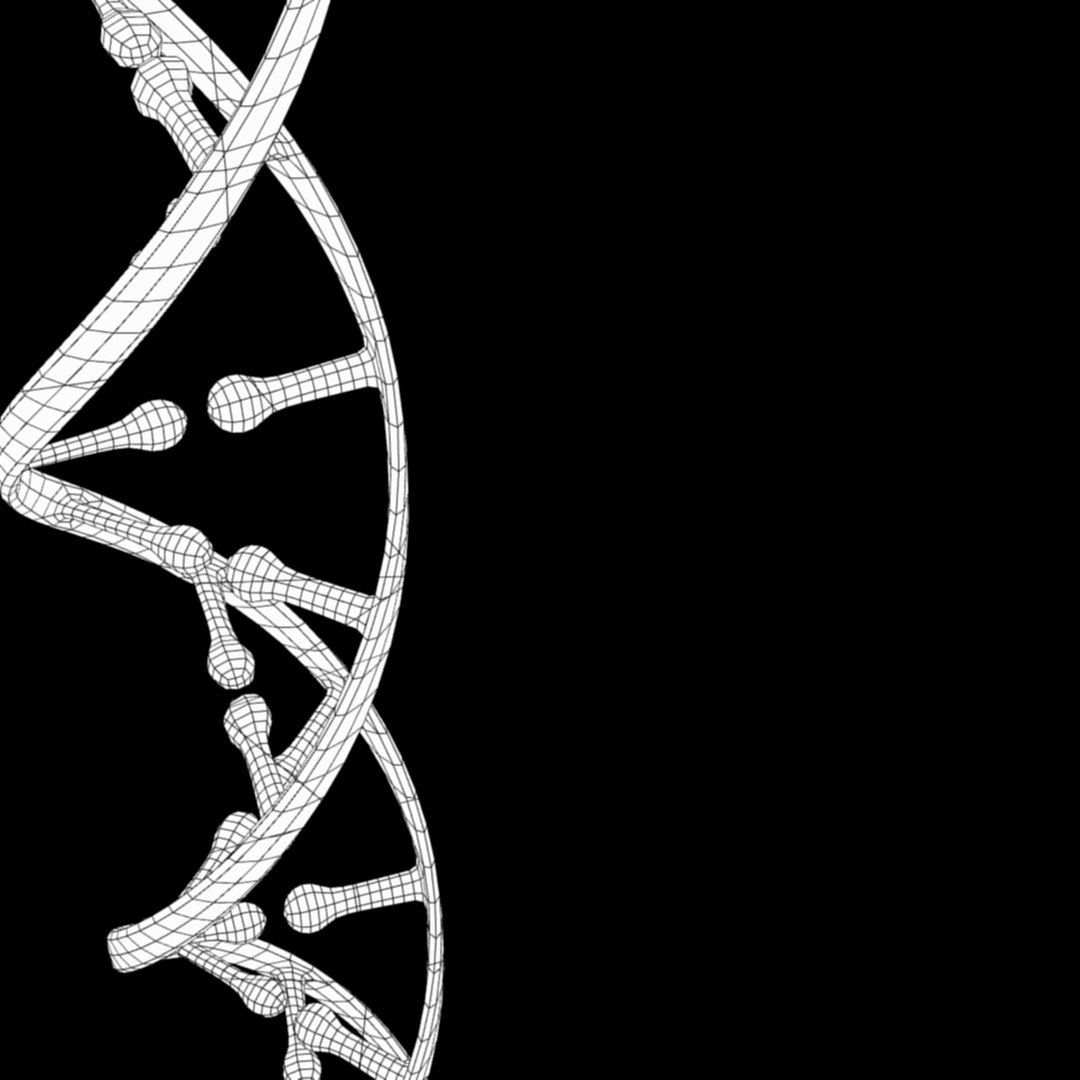3d model of chromosome lightwave