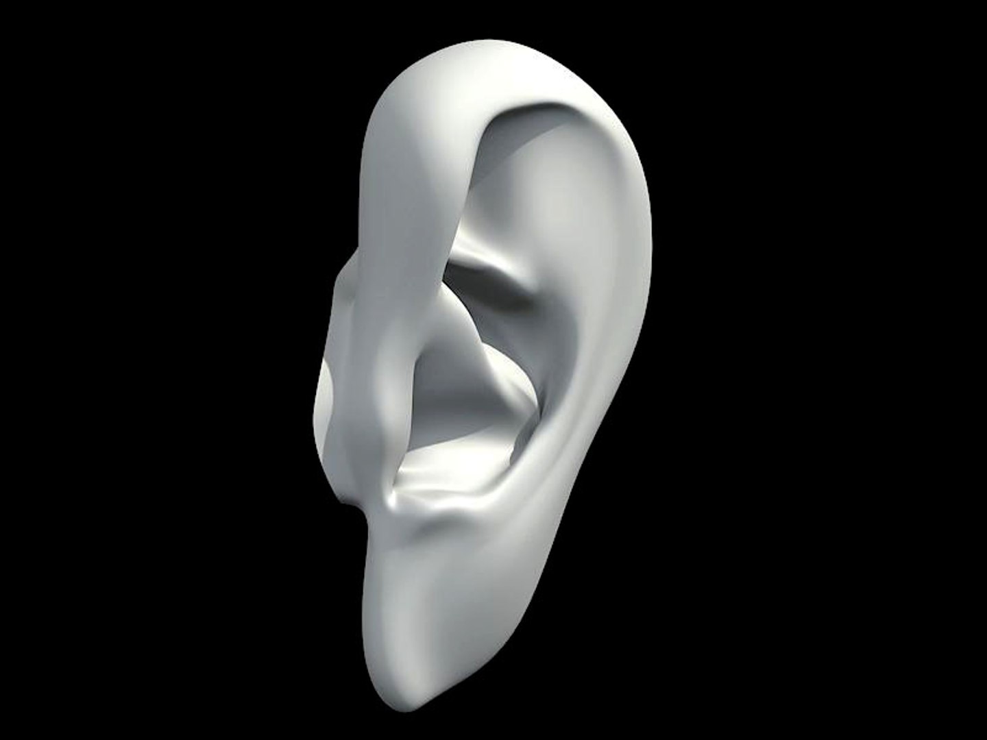 3d Ear Head Model