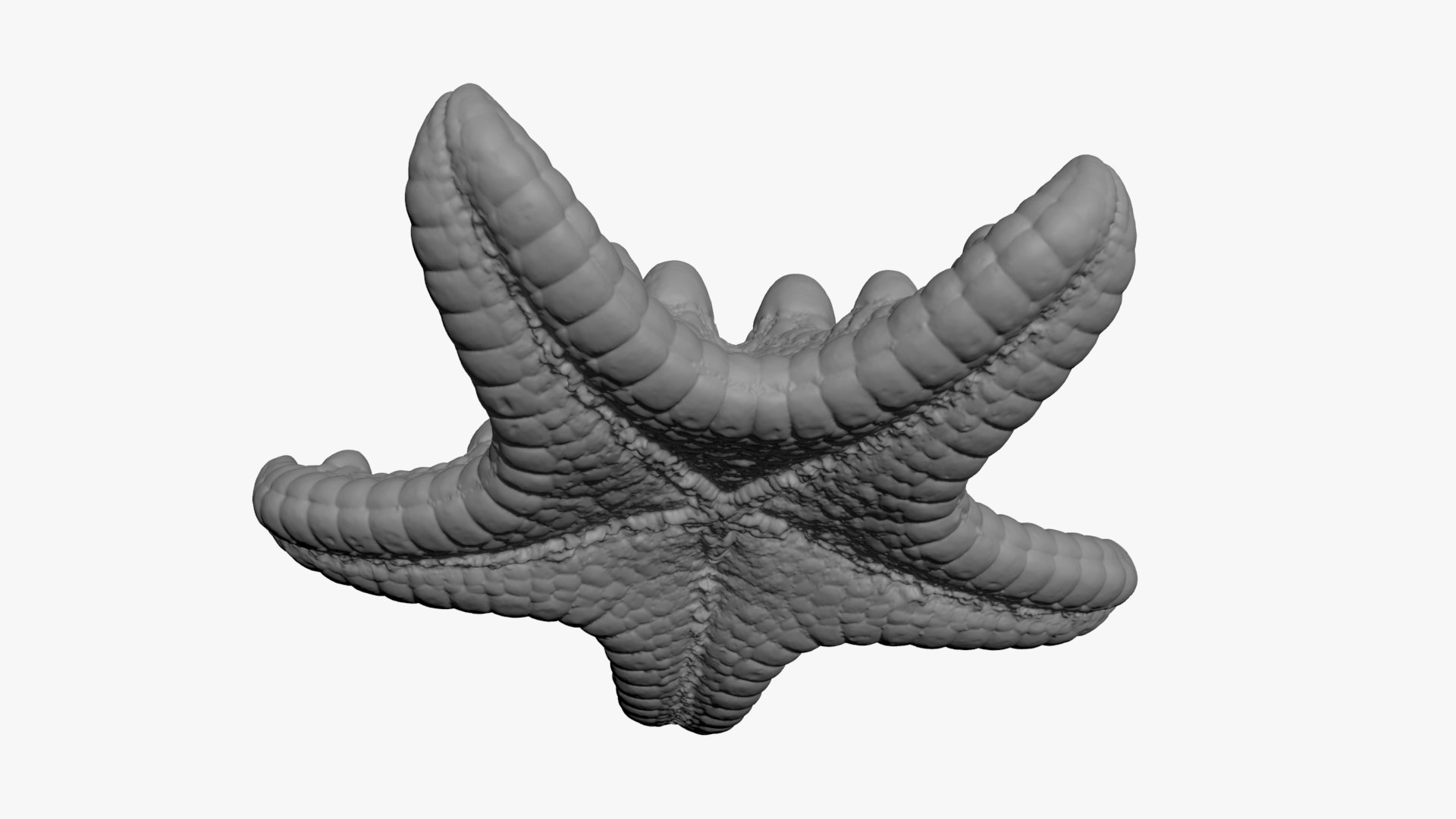 Sea Star 2 3D Print 3D Model - TurboSquid 2292330