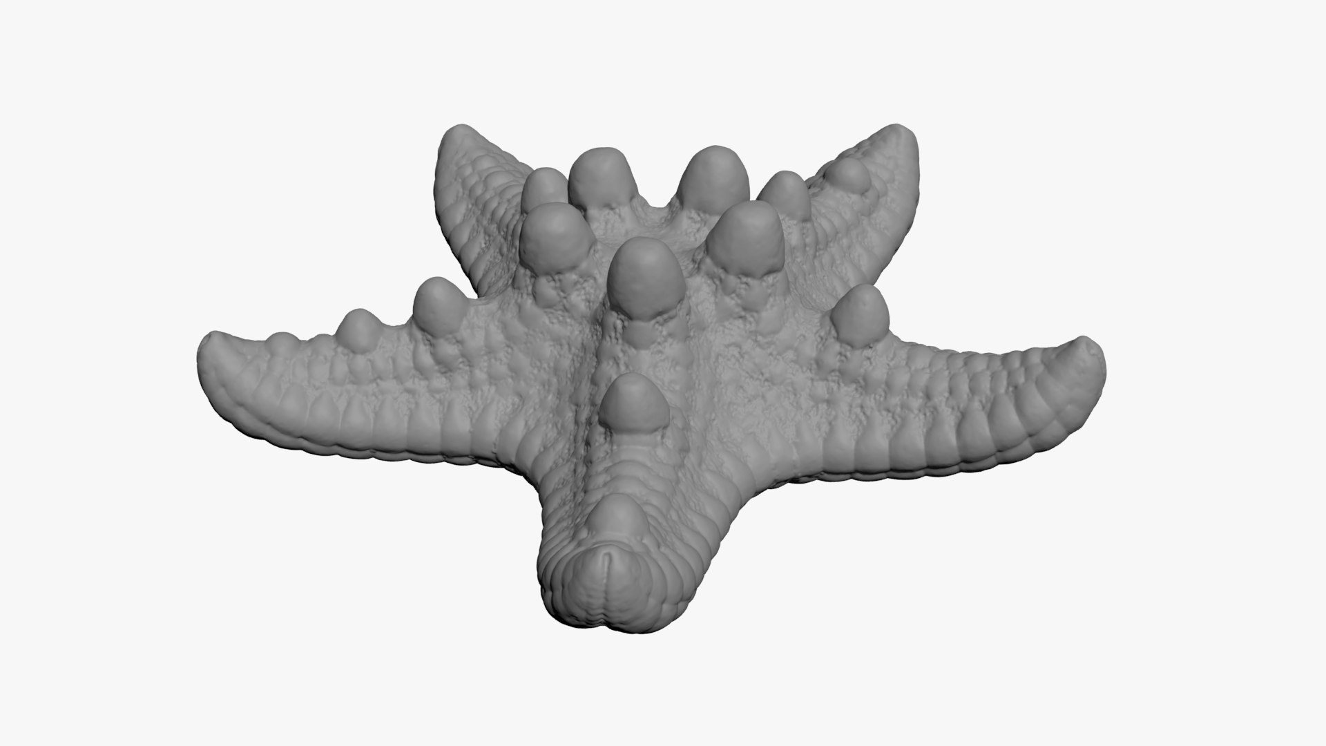 Sea Star 2 3D Print 3D Model - TurboSquid 2292330