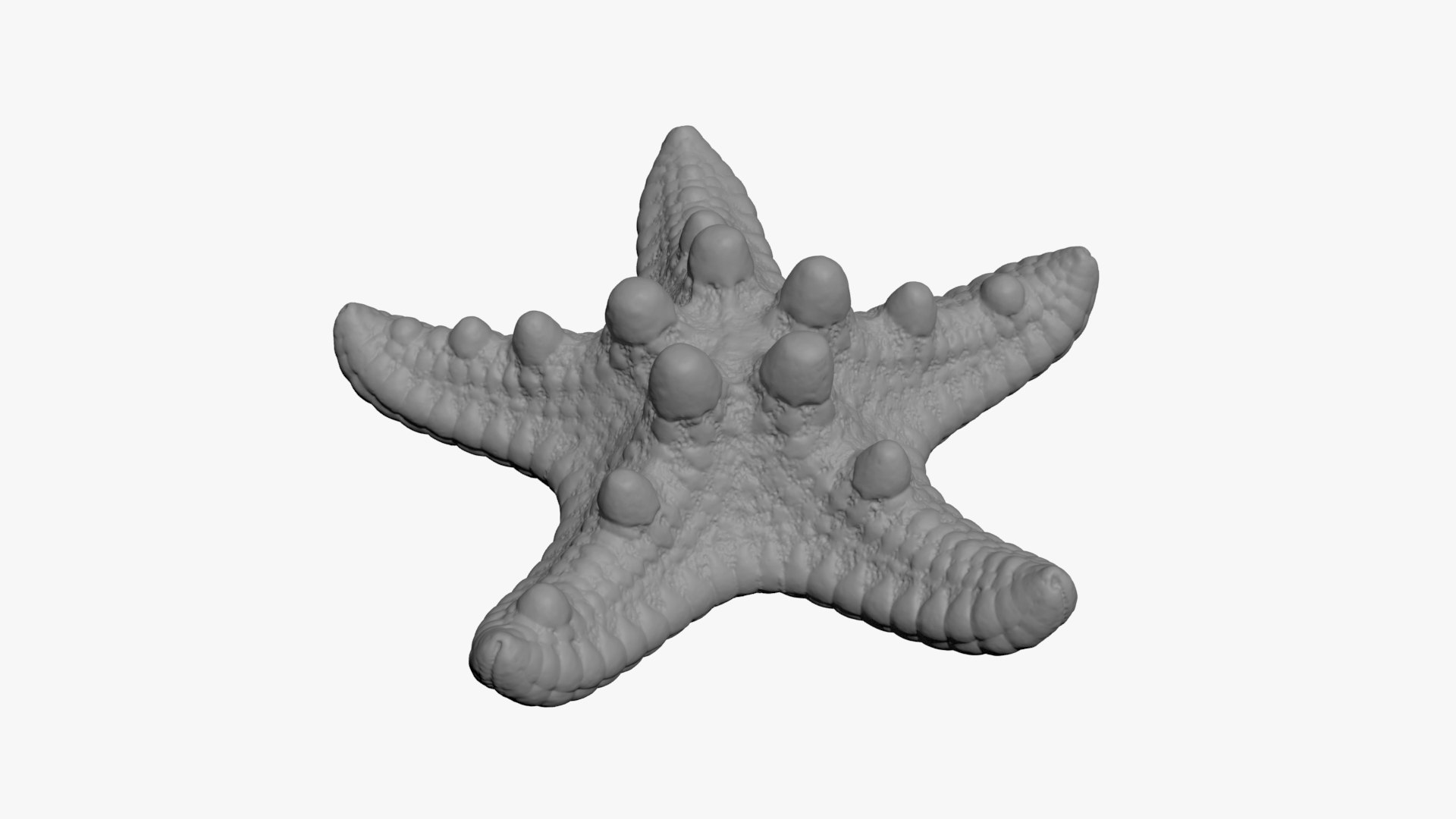 Sea Star 2 3D Print 3D Model - TurboSquid 2292330
