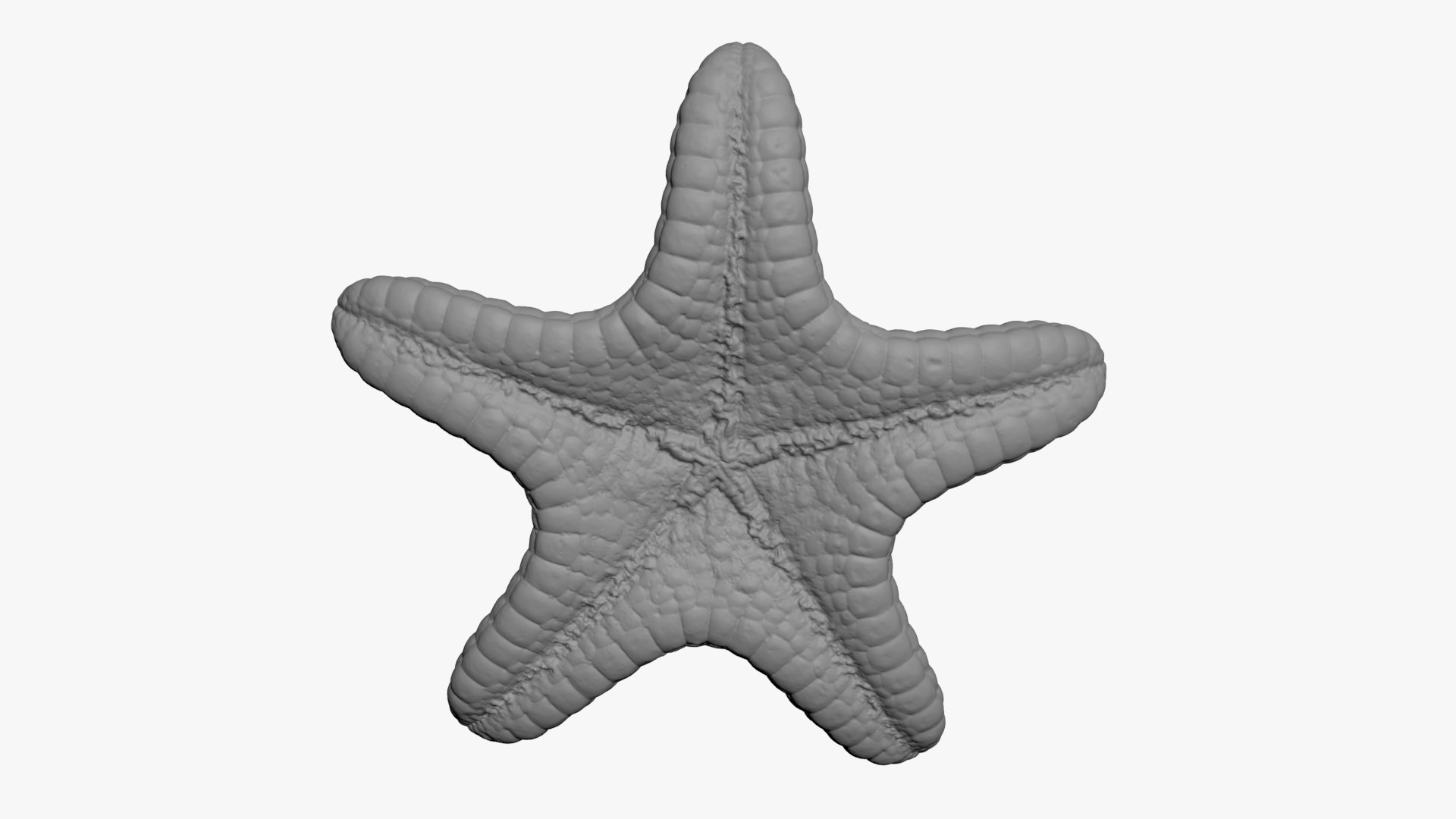 Sea Star 2 3D Print 3D Model - TurboSquid 2292330
