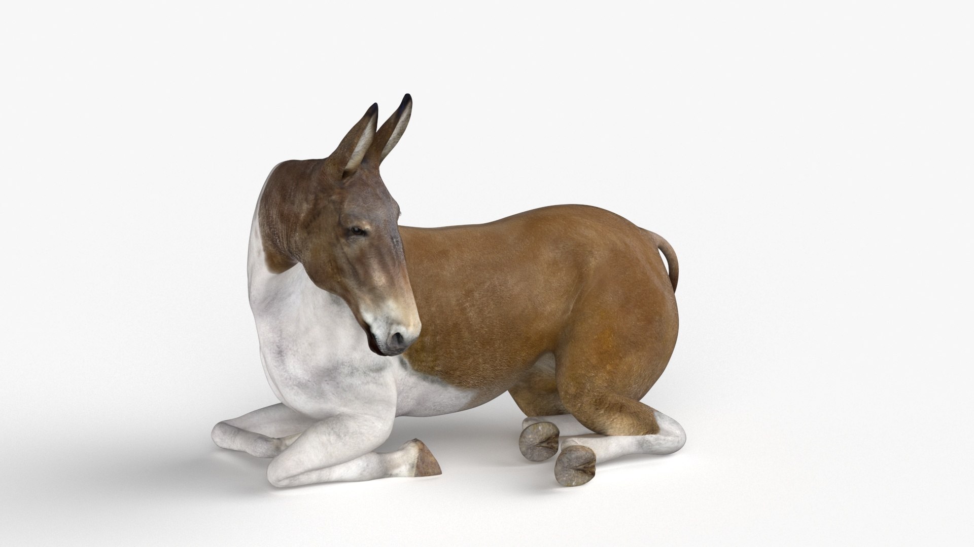 3D Lying Mule - TurboSquid 2279670