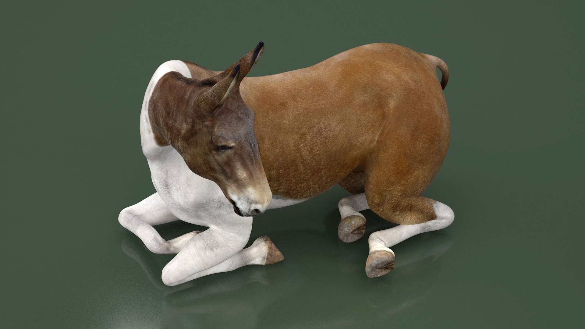 3D Lying Mule - TurboSquid 2279670