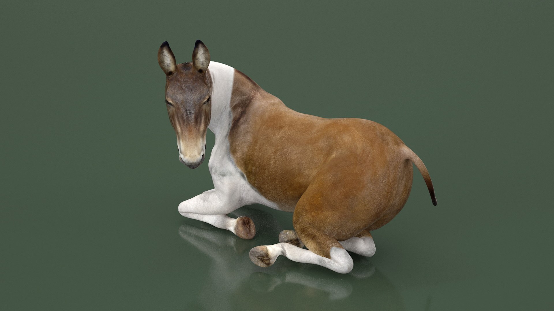 3D Lying Mule - TurboSquid 2279670