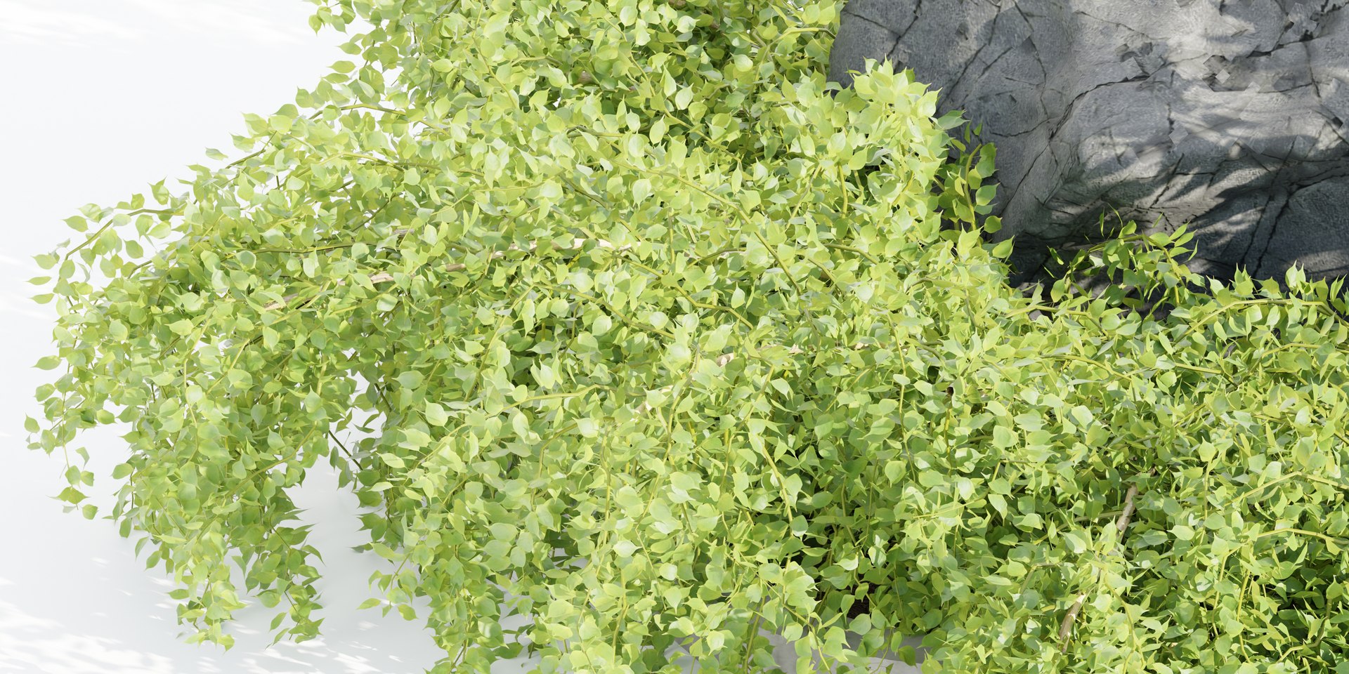 3D Model Garden Plants Collection Vol 57-Blender - TurboSquid 2117795