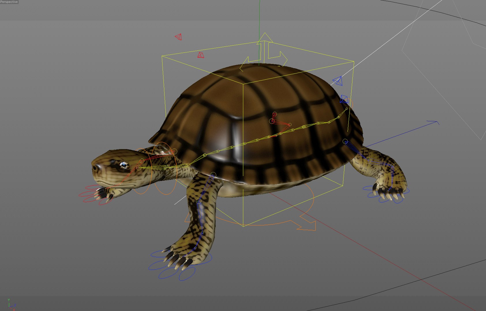 3D Rigged Tortoise Turtle Animation - TurboSquid 1391604