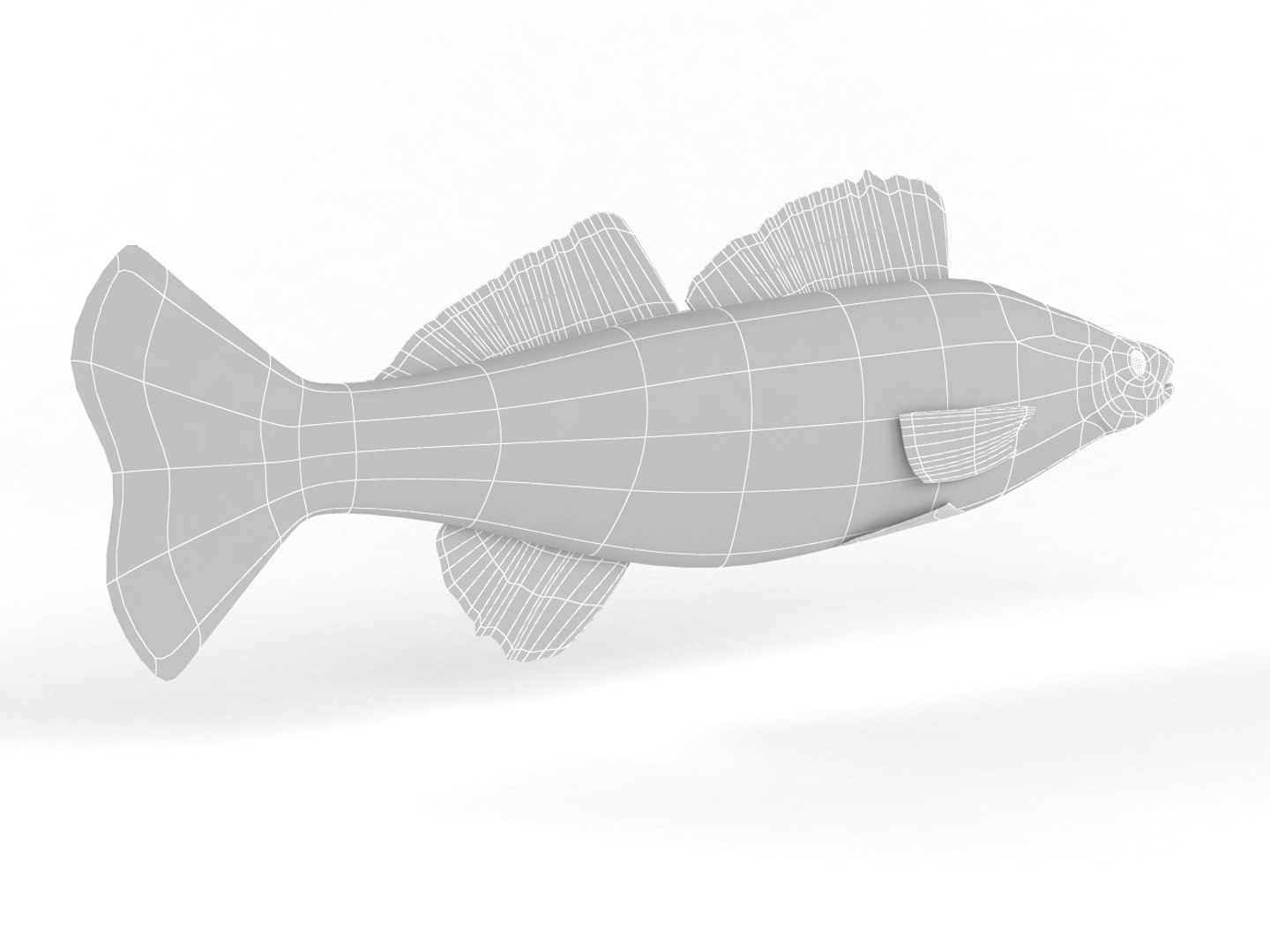 3D Zander Fish - TurboSquid 1437901