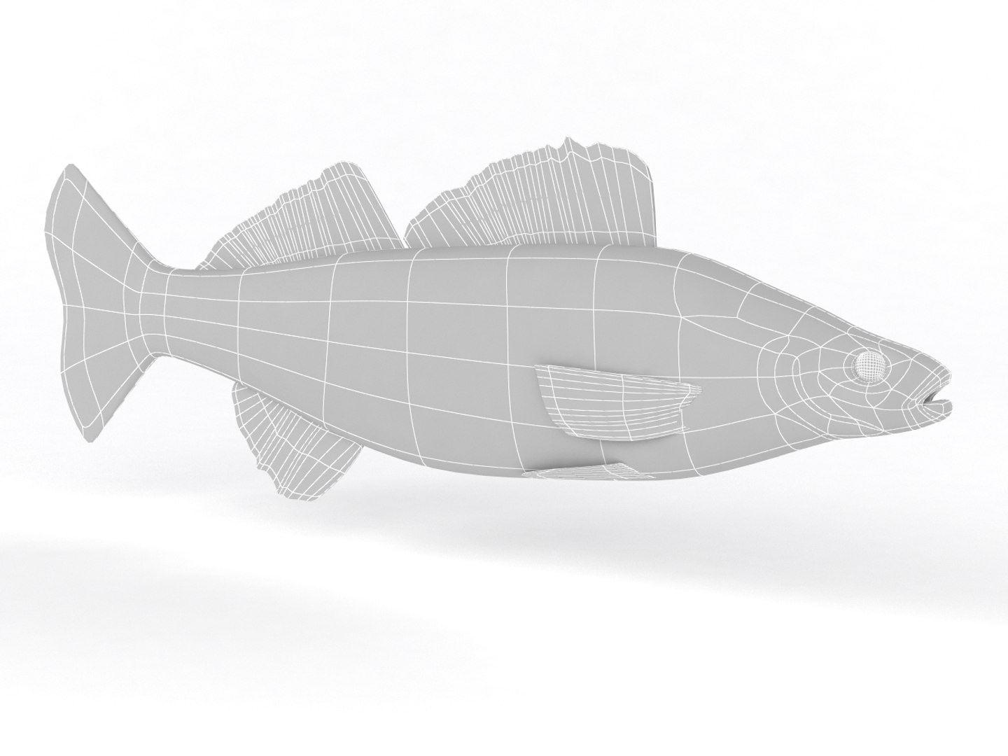 3D Zander Fish - TurboSquid 1437901