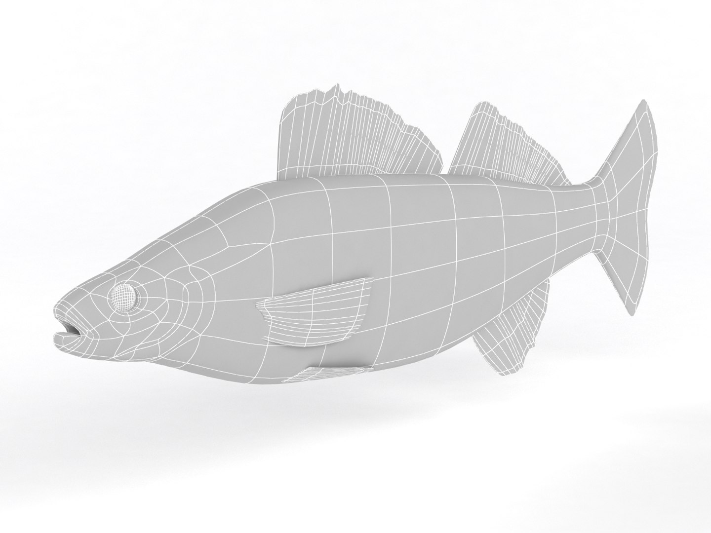 3D Zander Fish - TurboSquid 1437901