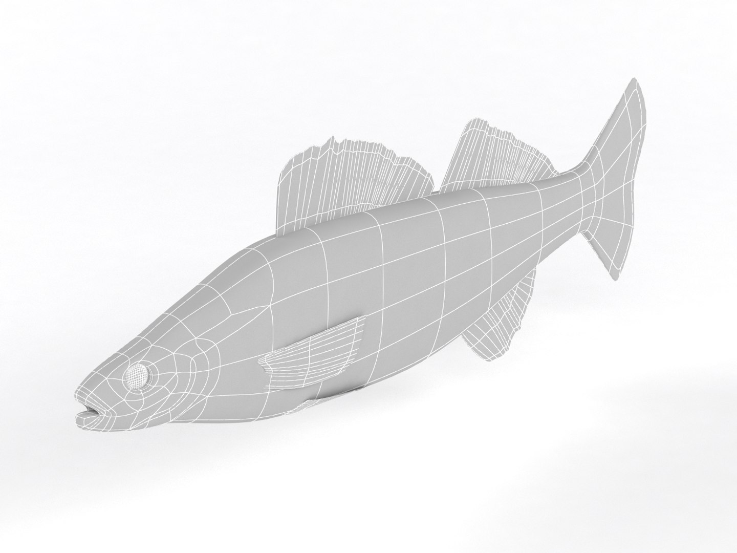 3D Zander Fish - TurboSquid 1437901