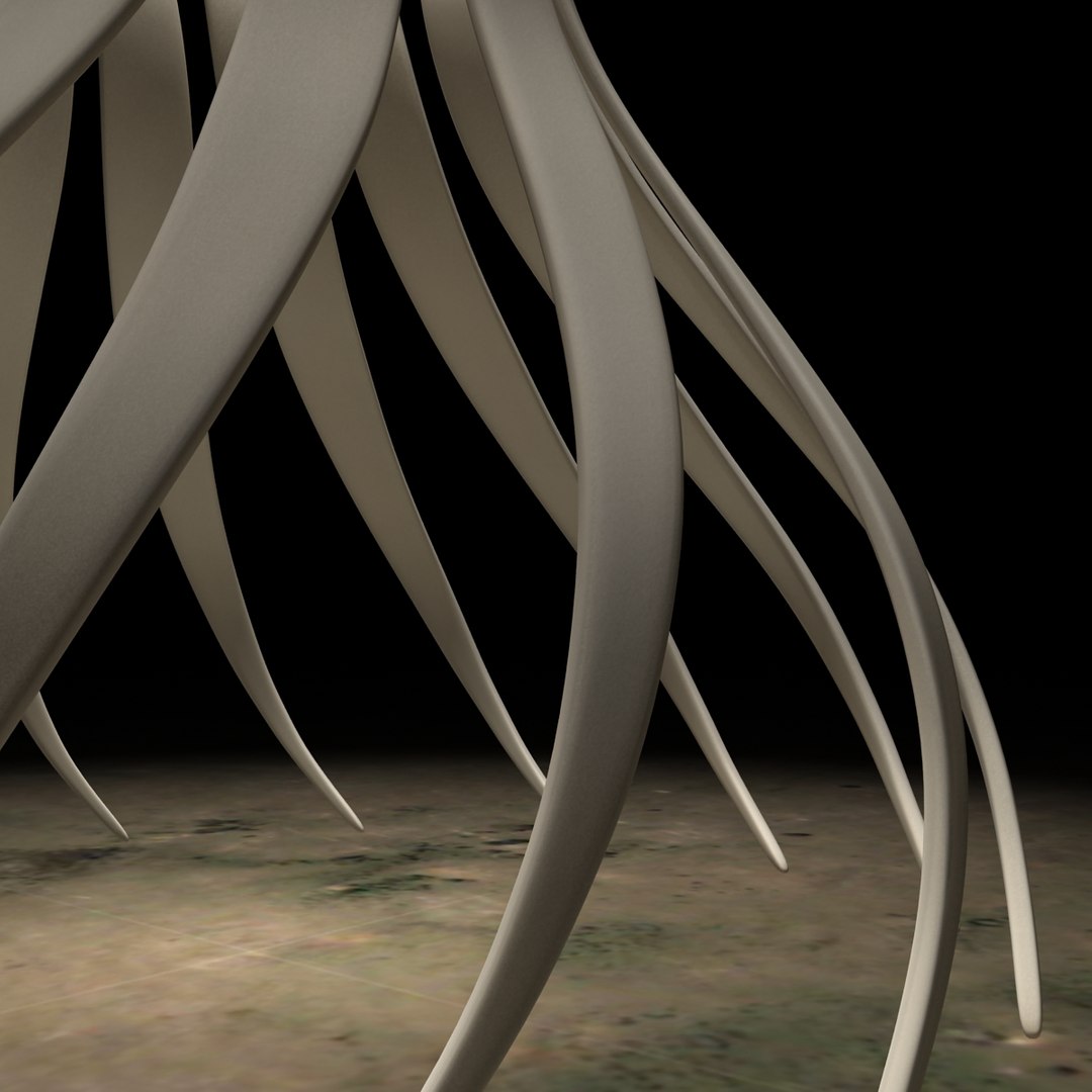 Realistic Cirrata Lamp 3d Model