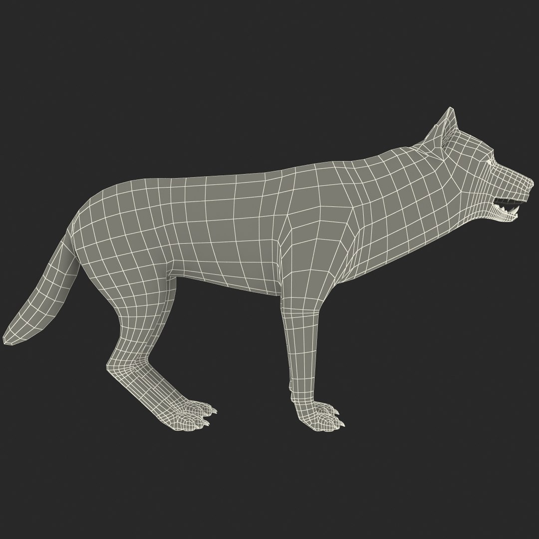 Wolf Animal 3d Model