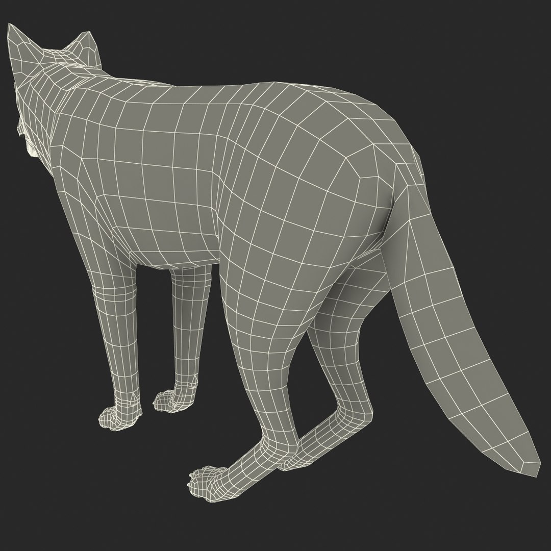 Wolf Animal 3d Model