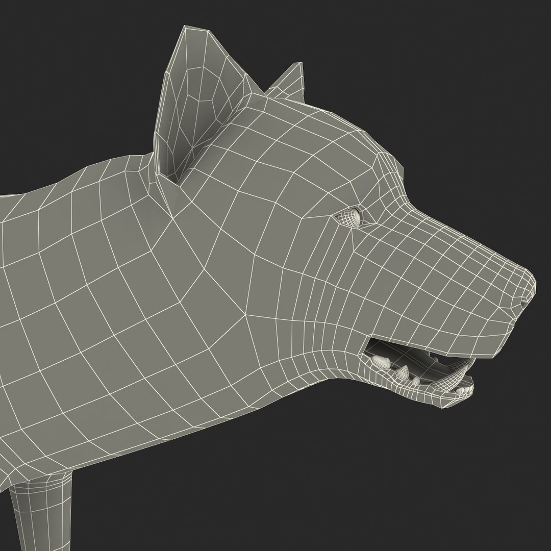Wolf Animal 3d Model
