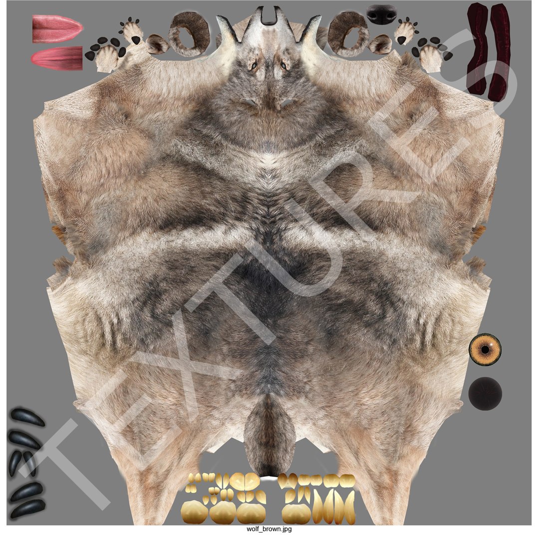 Wolf Animal 3d Model