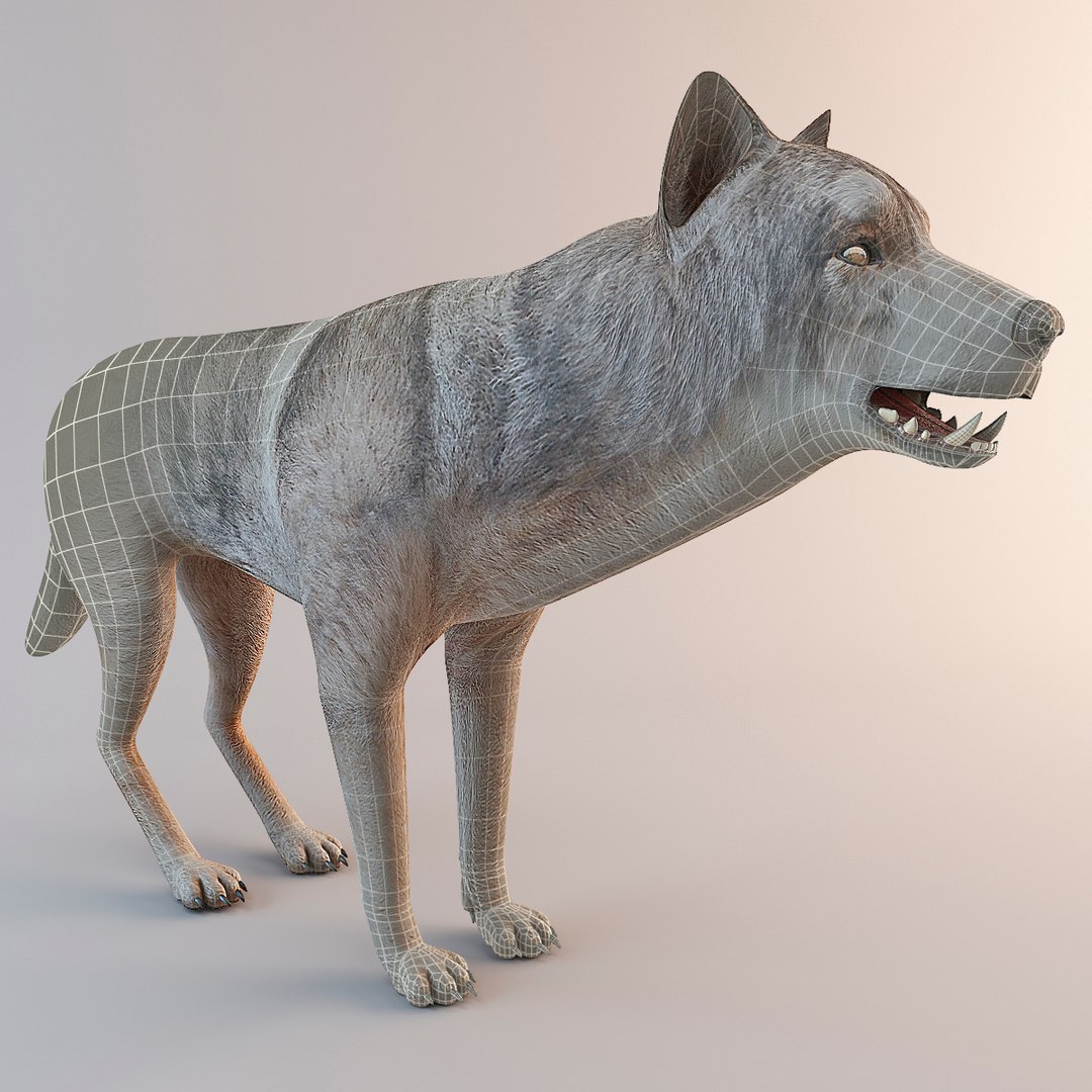 Wolf Animal 3d Model