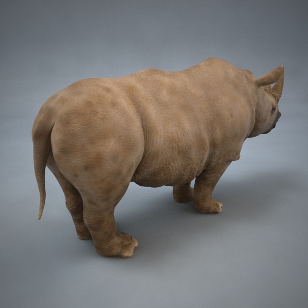 Realistic Rhino 3d 3ds