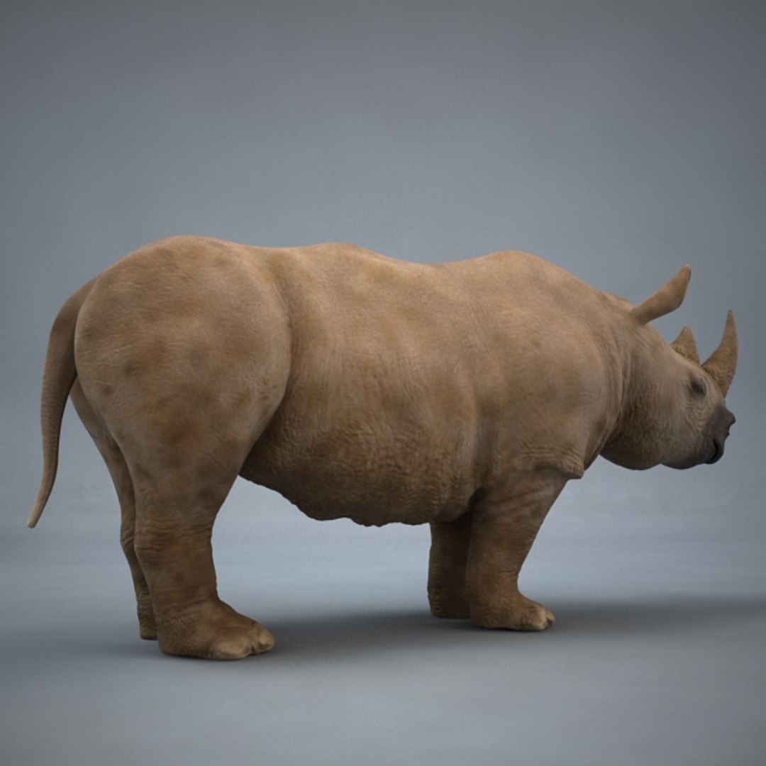 Realistic Rhino 3d 3ds