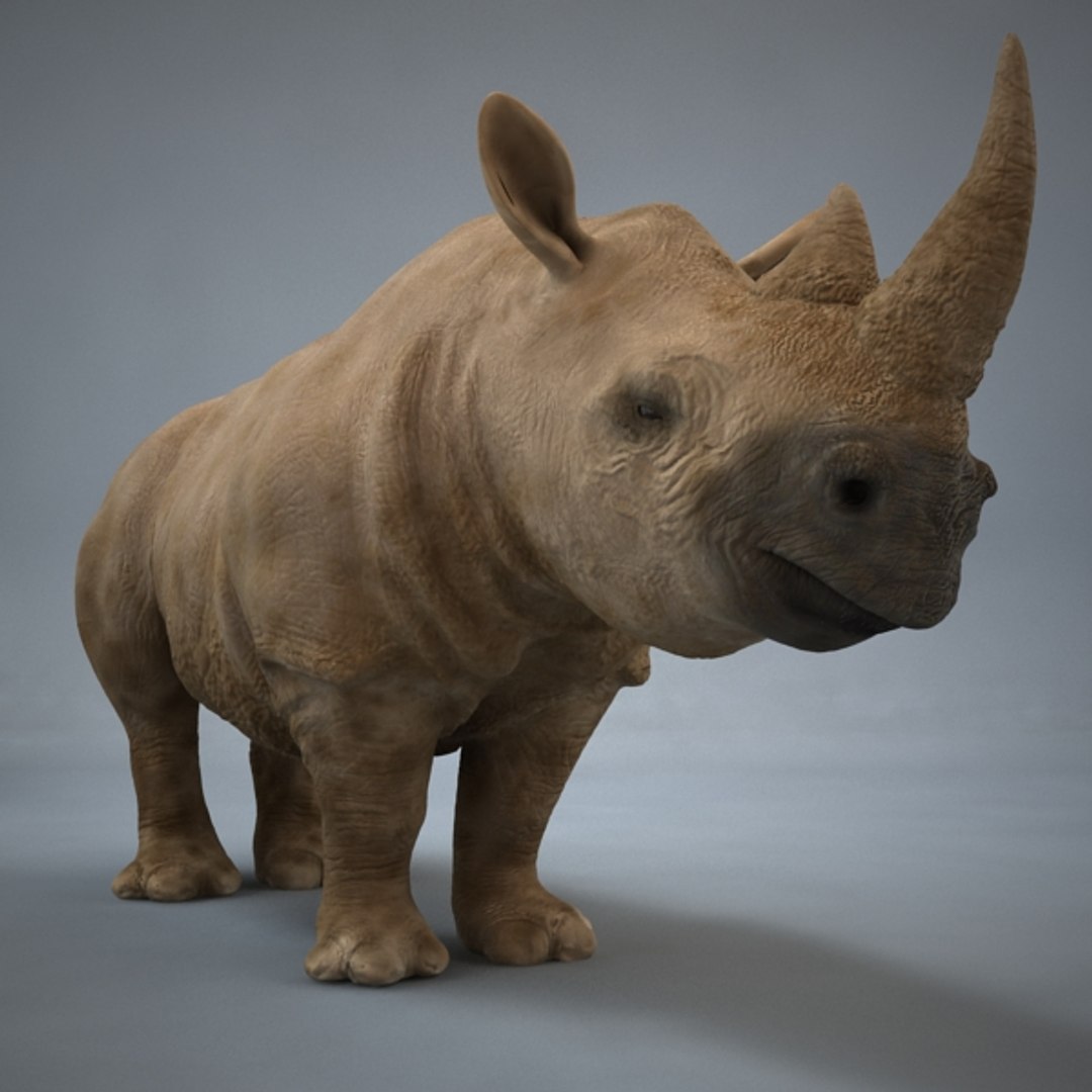 Realistic Rhino 3d 3ds