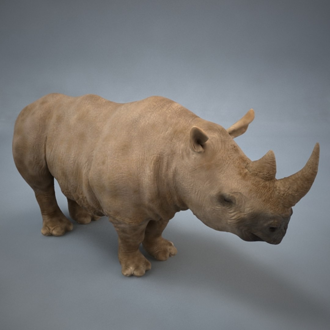 Realistic Rhino 3d 3ds