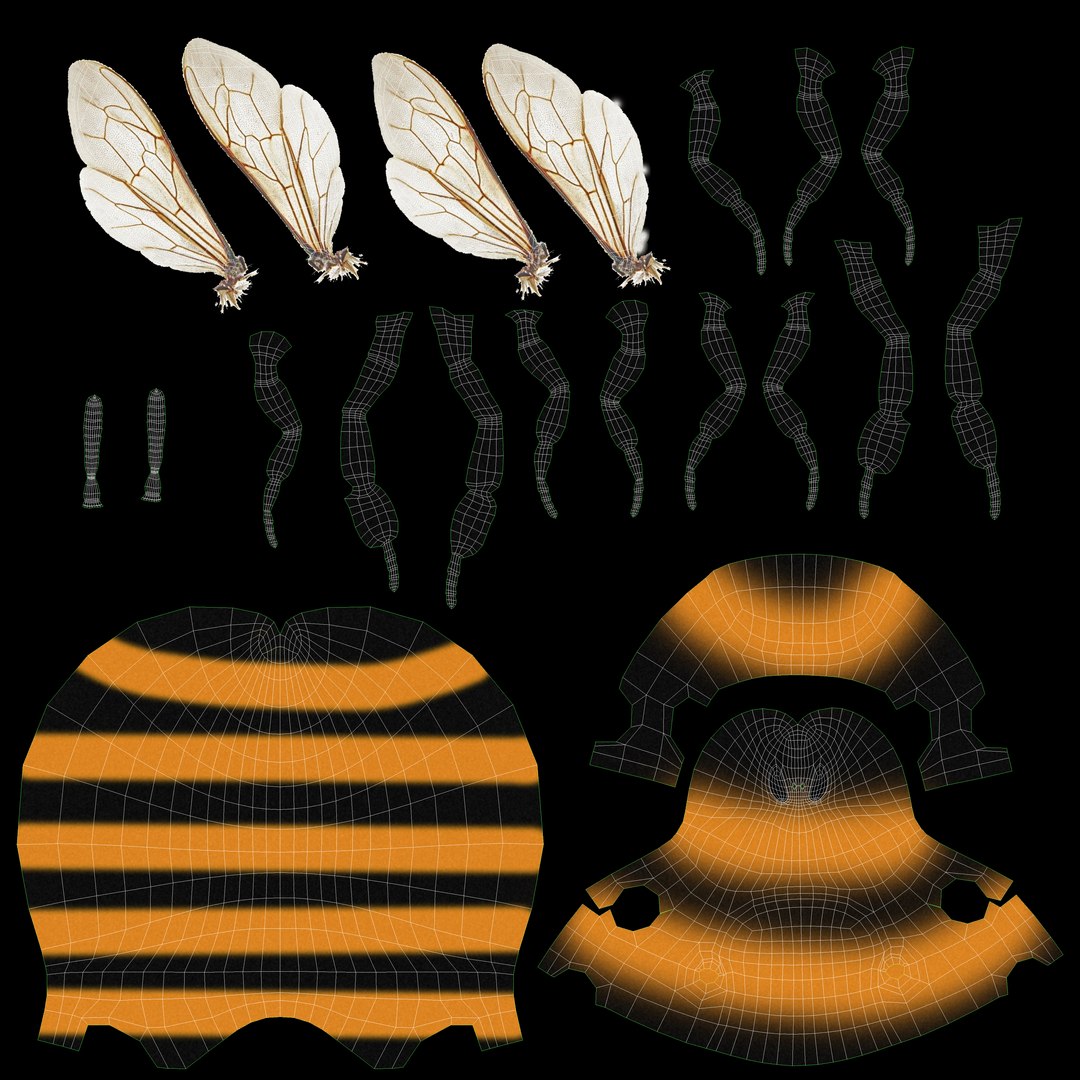 Bee 3D Model - TurboSquid 1877809