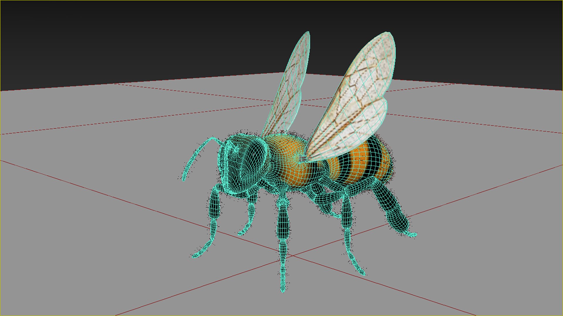 Bee 3D Model - TurboSquid 1877809