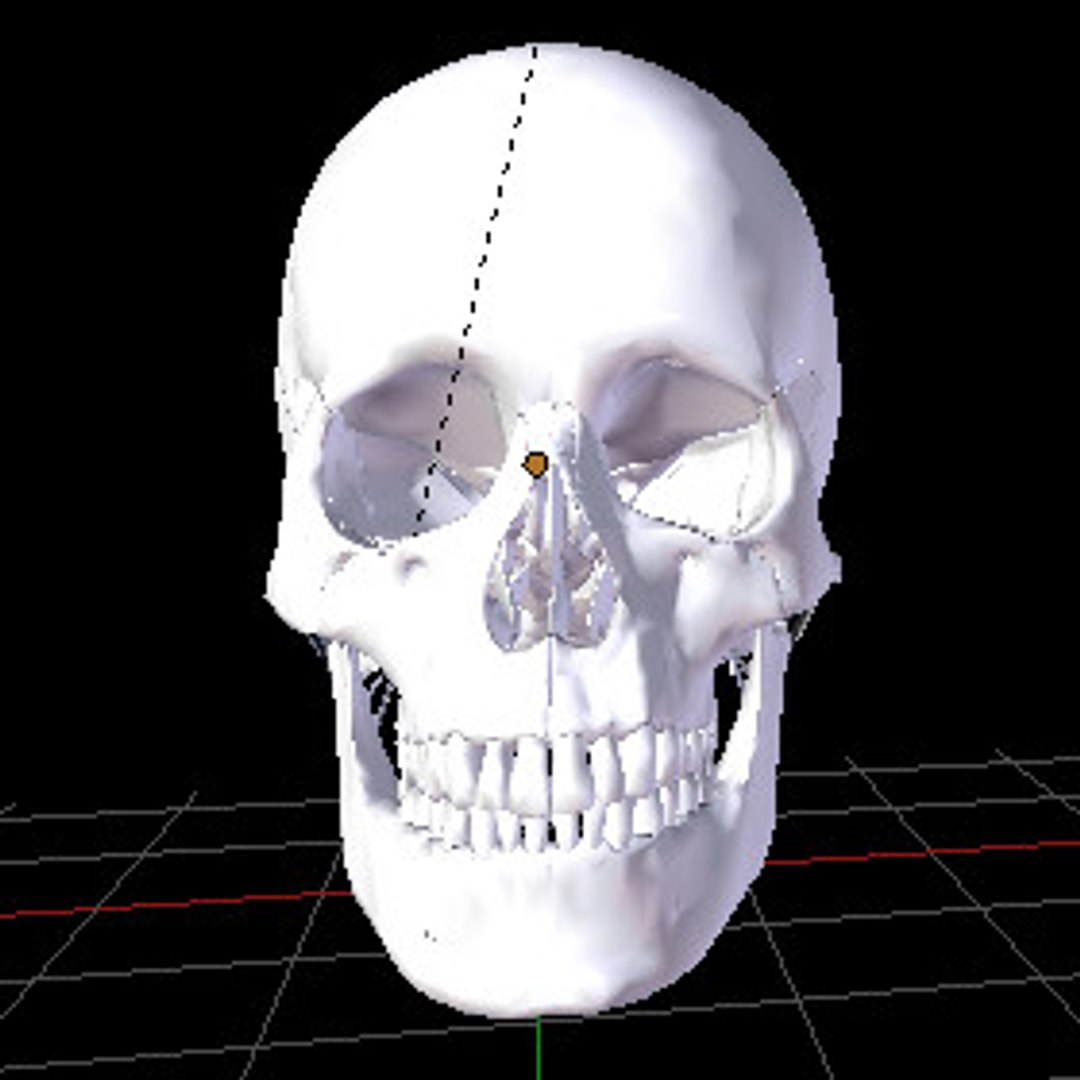 Human skull 3D - TurboSquid 1191796