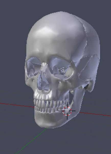 modelo 3d Cráneo humano - TurboSquid 1191796