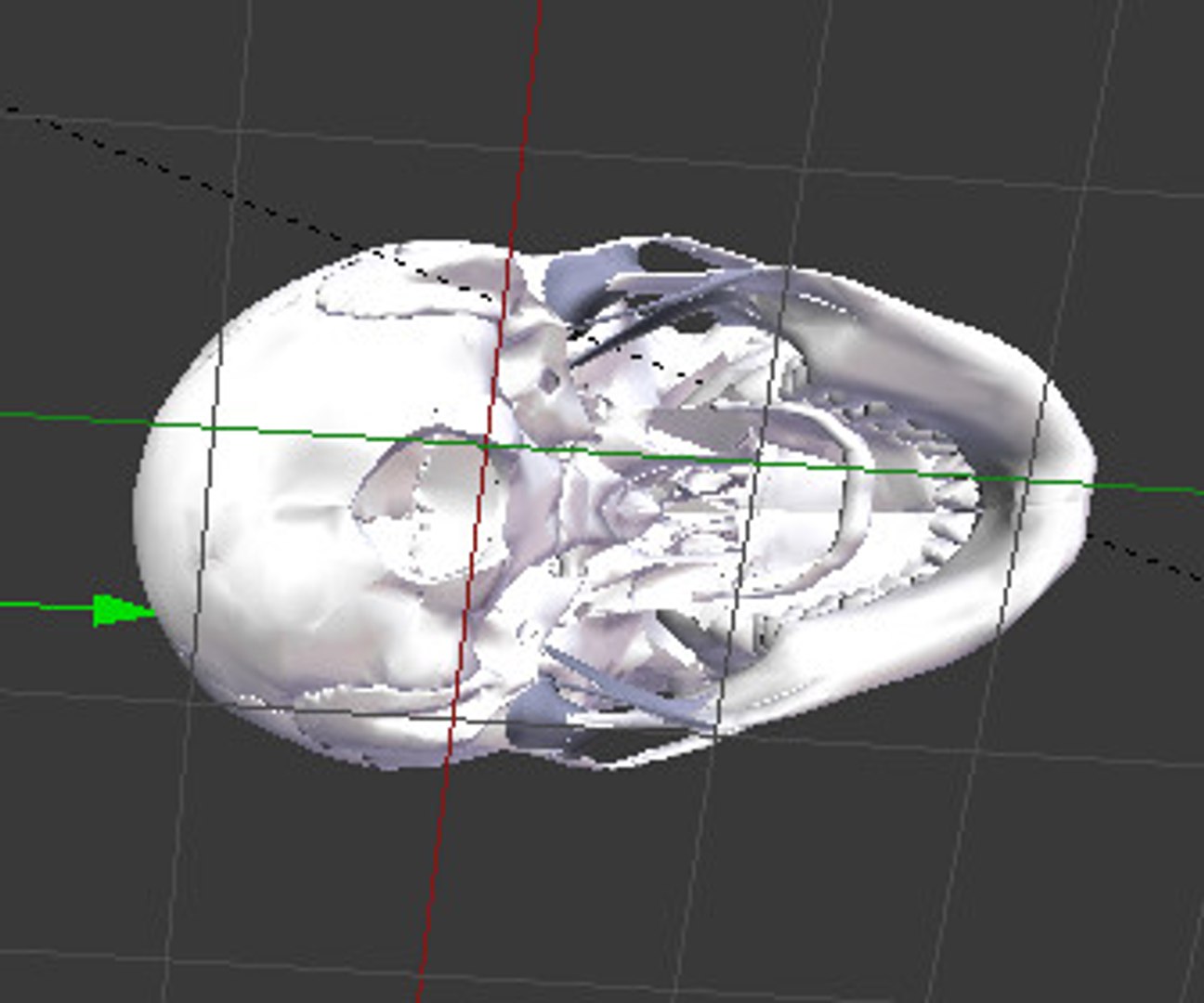 Human skull 3D - TurboSquid 1191796