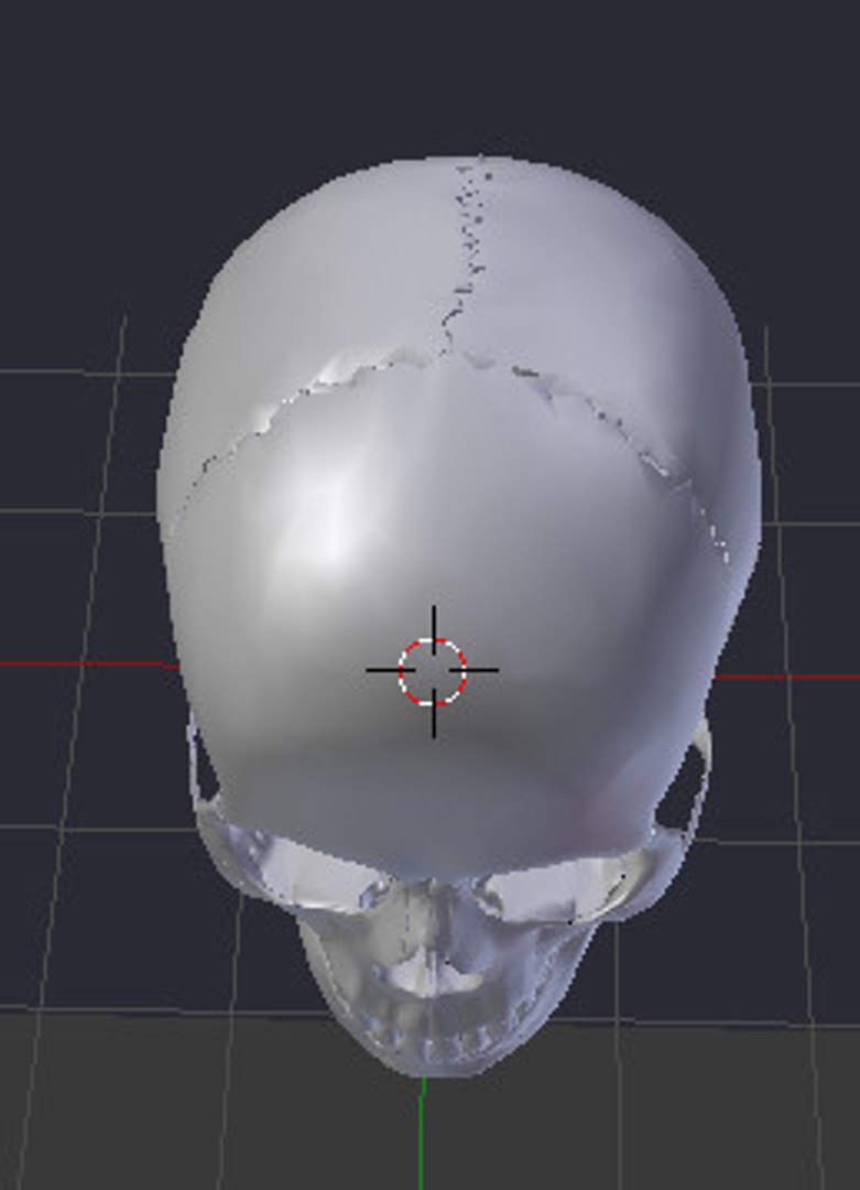 Human skull 3D - TurboSquid 1191796