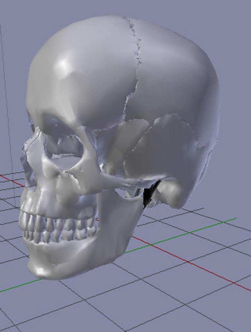 Human skull 3D - TurboSquid 1191796