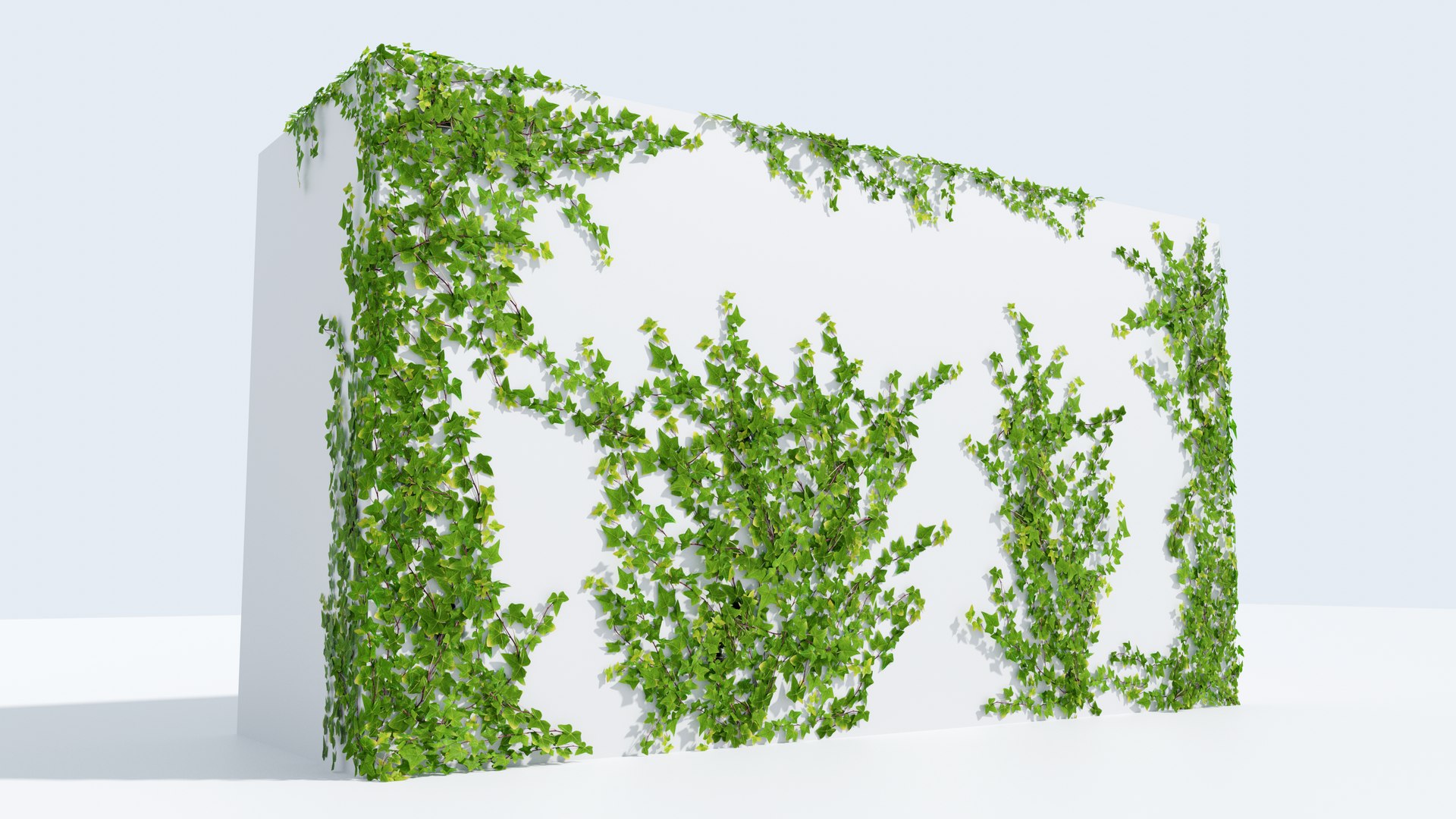 3D Ivy Natural Vines - TurboSquid 1407077