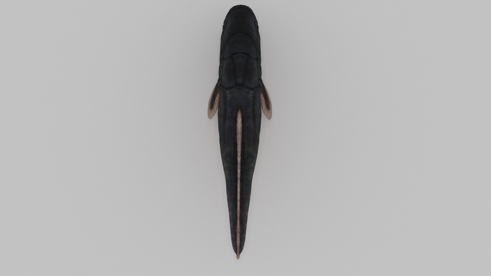 3D Extinct Dunkleosteus - TurboSquid 1404537