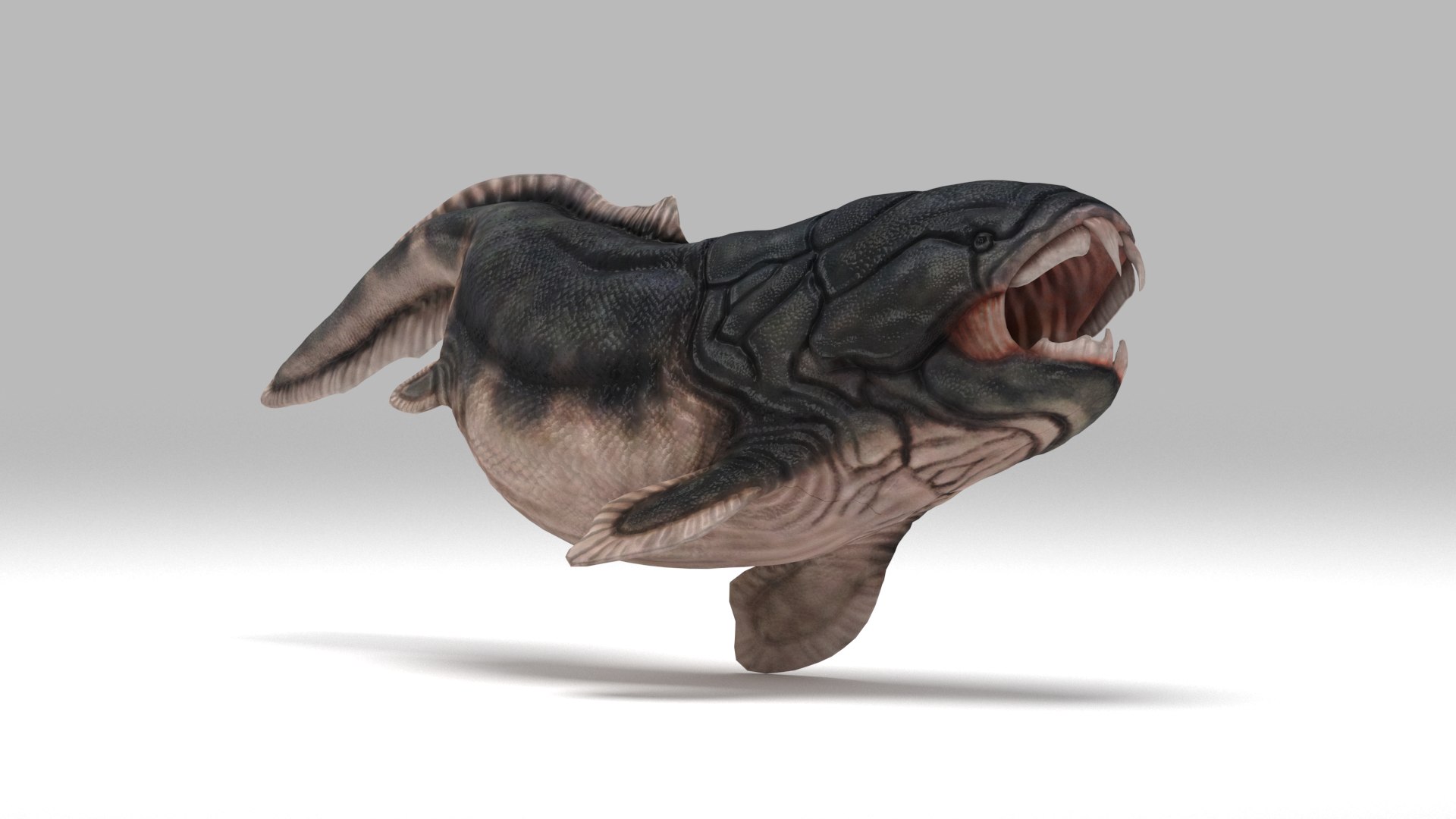 3D Extinct Dunkleosteus - TurboSquid 1404537