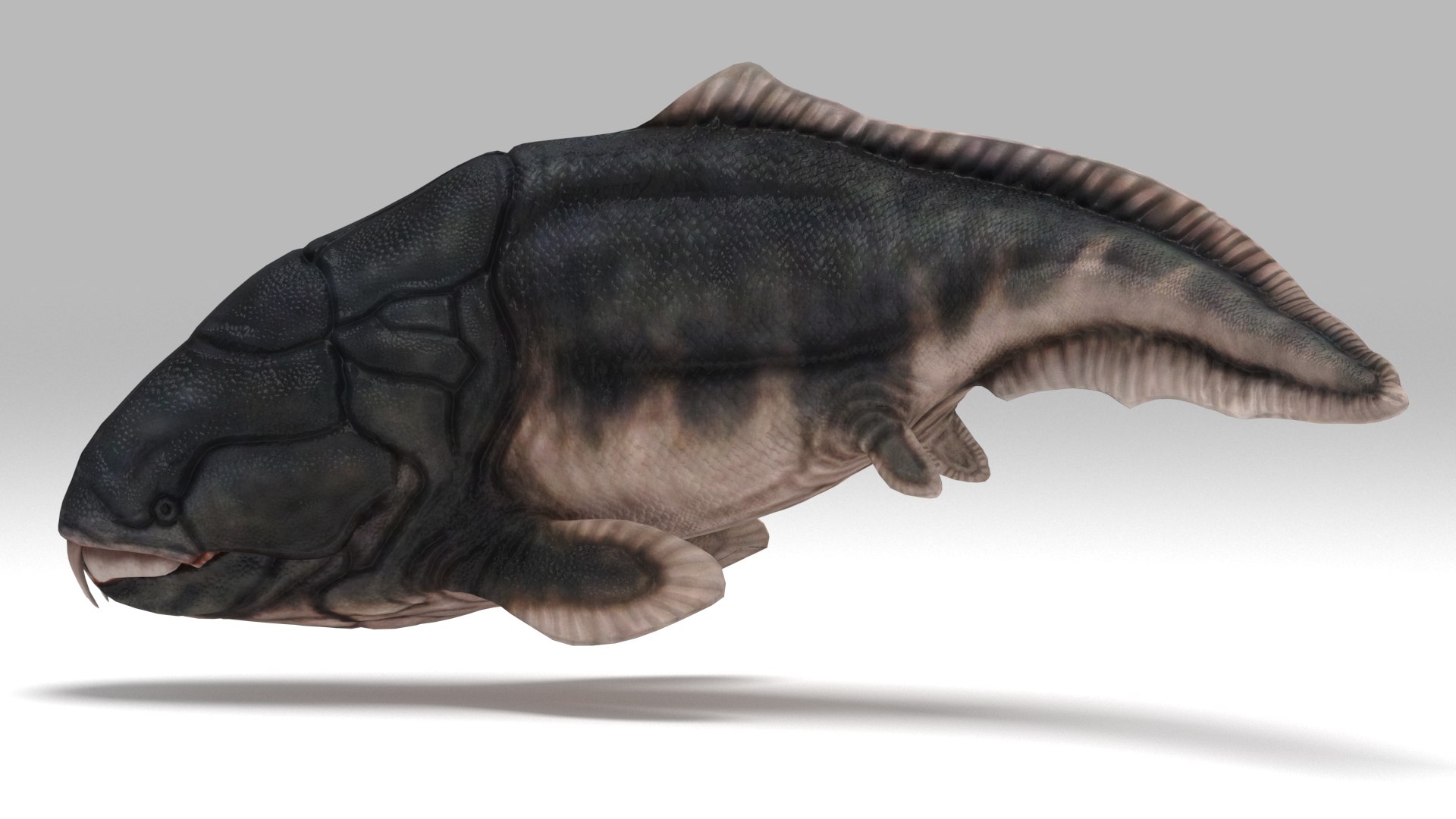3D Extinct Dunkleosteus - TurboSquid 1404537