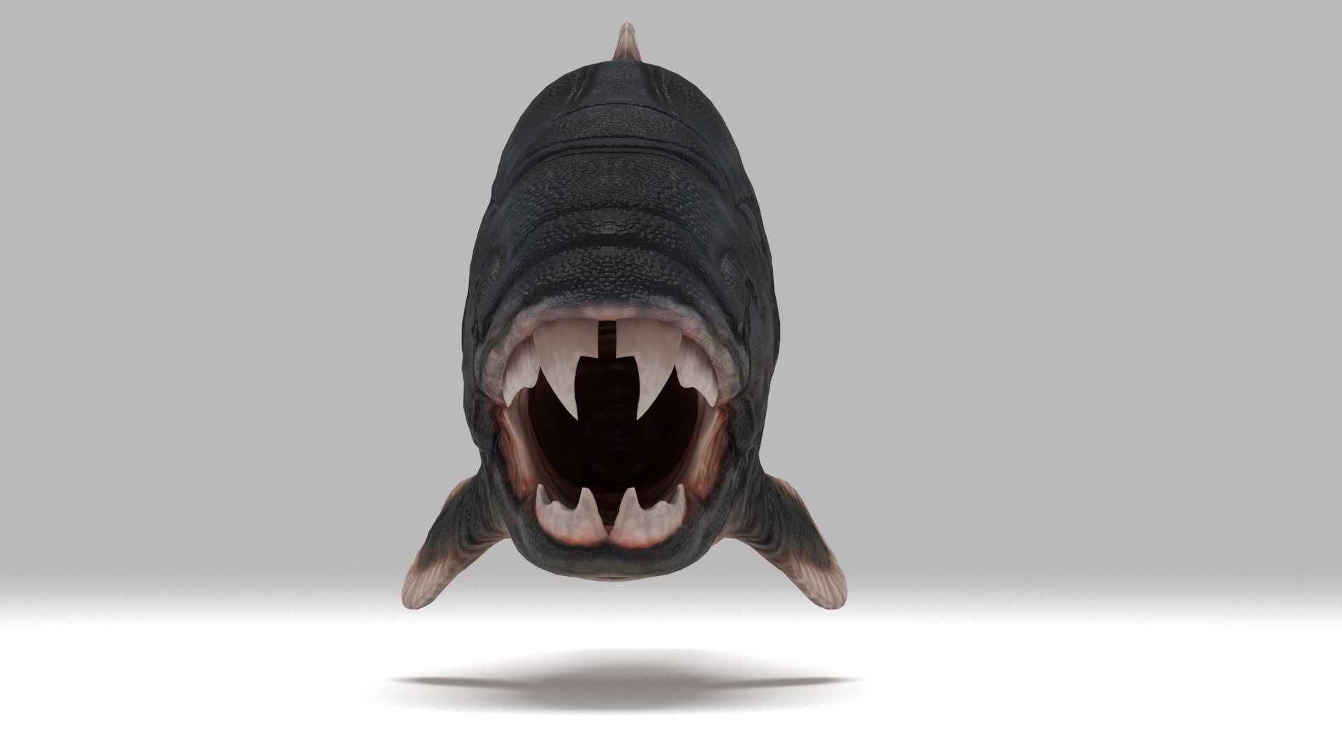 3D Extinct Dunkleosteus - TurboSquid 1404537