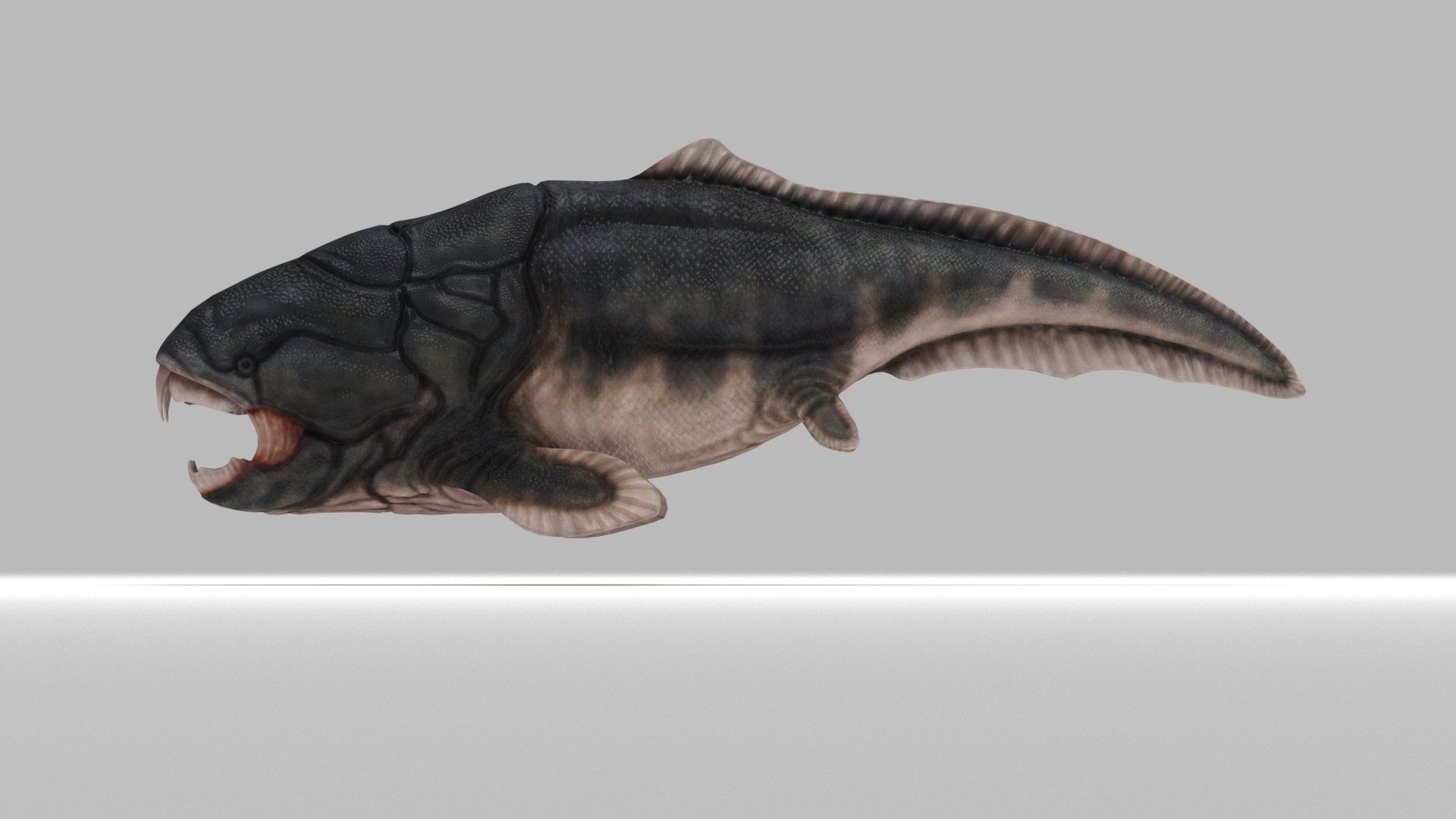 3D Extinct Dunkleosteus - TurboSquid 1404537