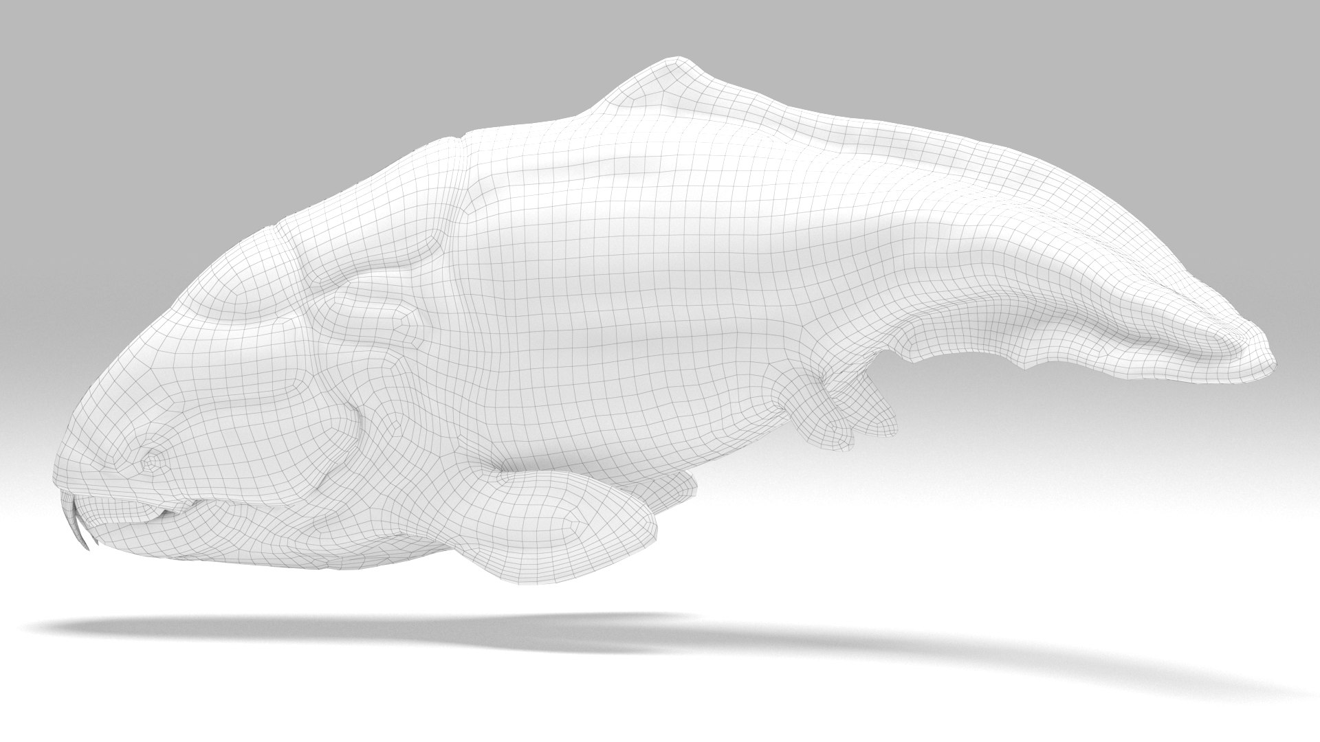 3D Extinct Dunkleosteus - TurboSquid 1404537