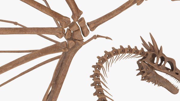 modelo 3d Esqueleto fosilizado de dragón - TurboSquid 2367869