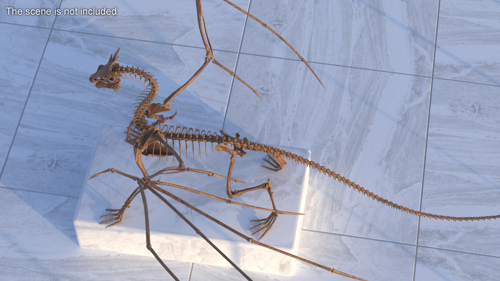 3D Fossilized Dragon Skeleton - TurboSquid 2367869