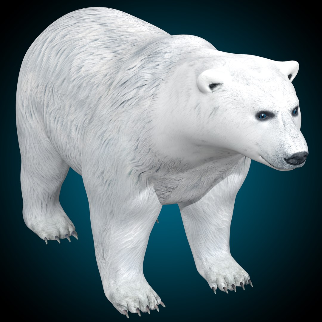 3D Model Polar Bear - TurboSquid 2061986