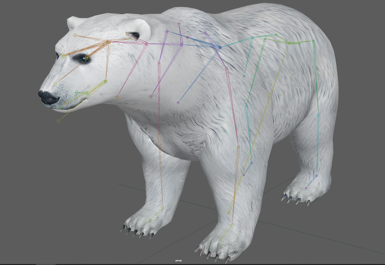 3D Model Polar Bear - TurboSquid 2061986