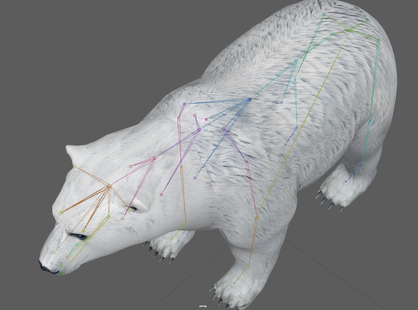 3D Model Polar Bear - TurboSquid 2061986
