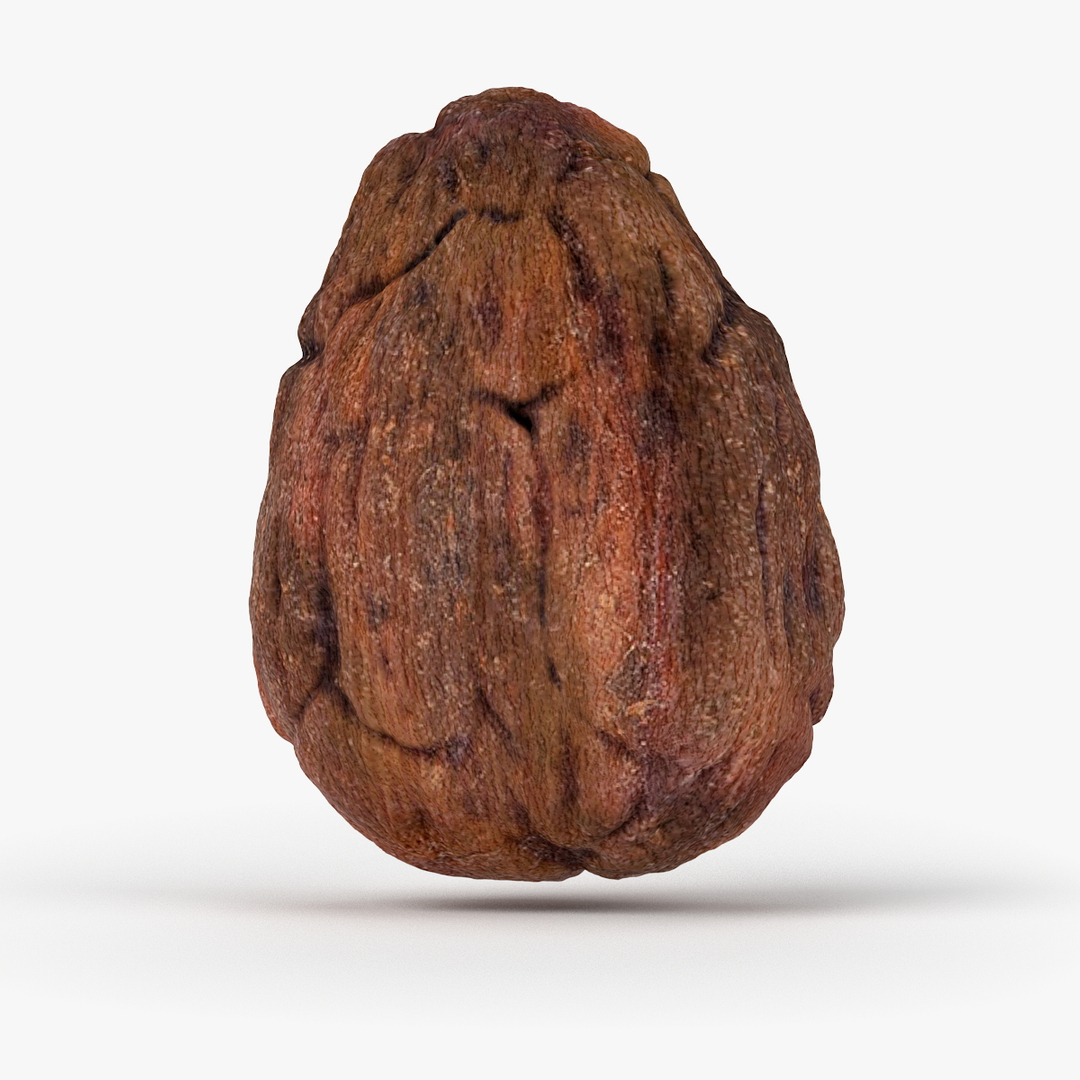 3d Realistic Cocoa Beans