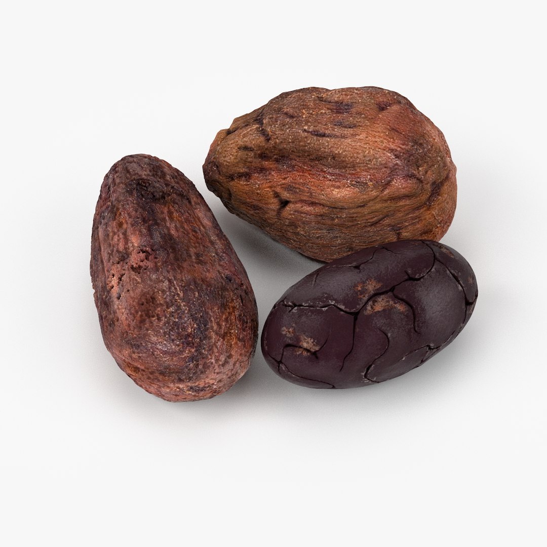 3d Realistic Cocoa Beans