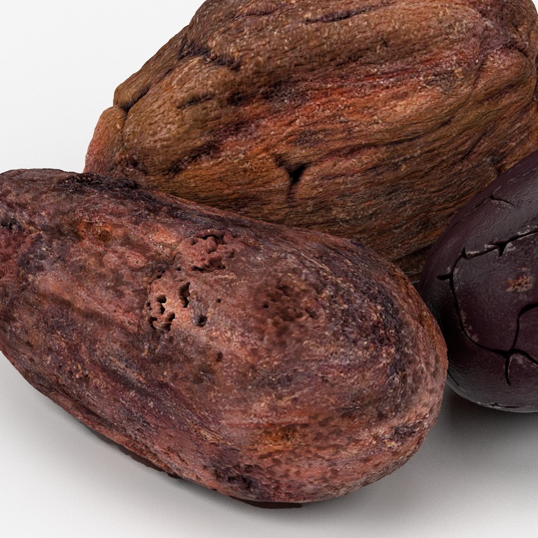 3d Realistic Cocoa Beans