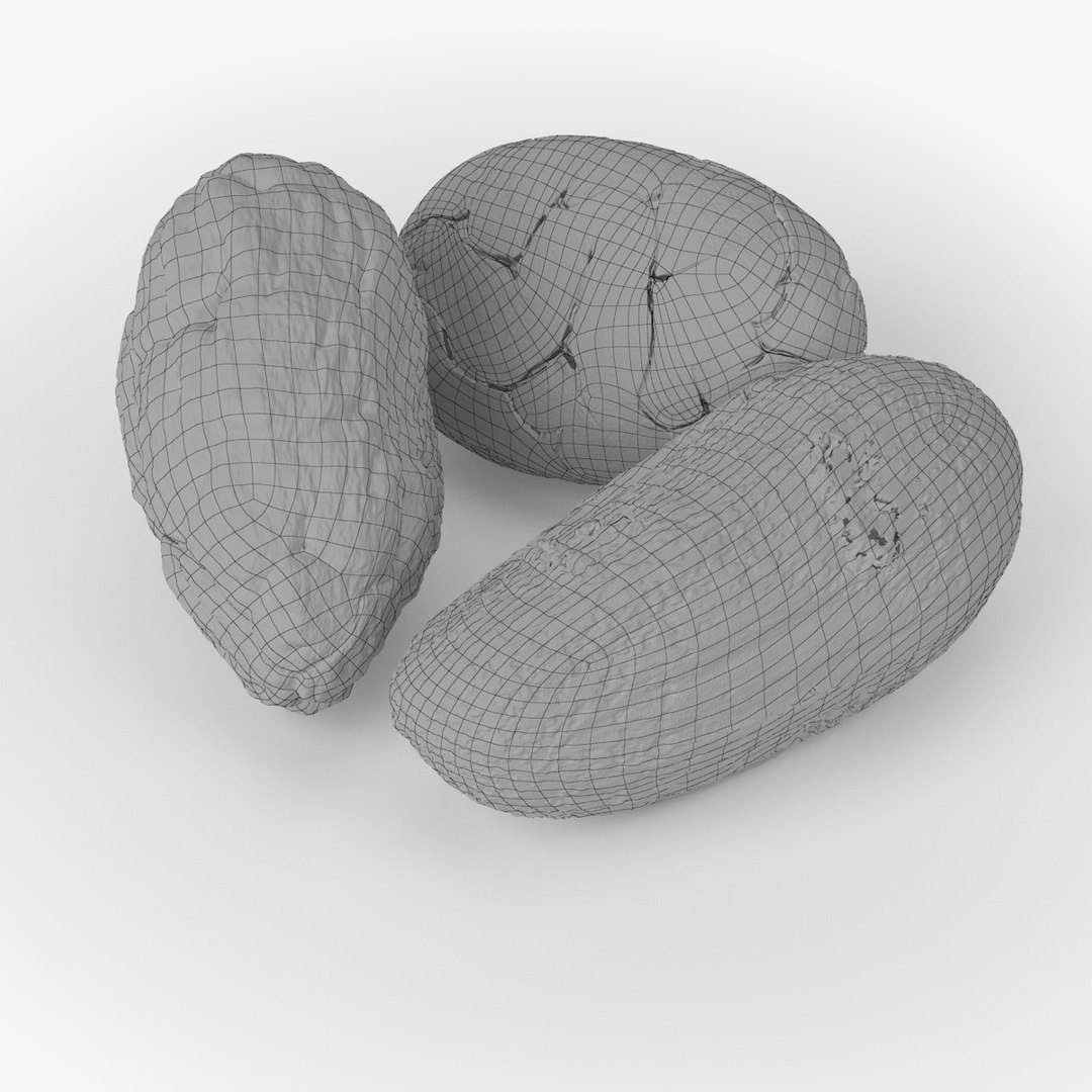 3d Realistic Cocoa Beans